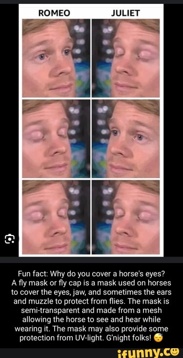 JULIET Go Fun fact: Why do you cover a horse's eyes? A fly mask or fly ...