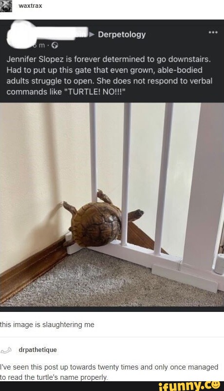 Bodie memes. Best Collection of funny Bodie pictures on iFunny