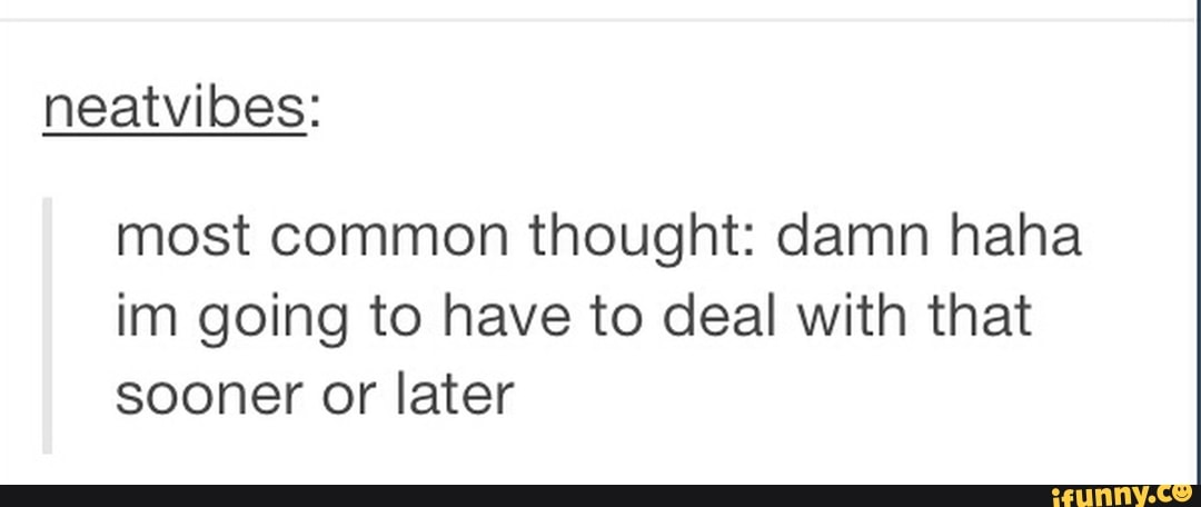 Neatvibes: most common thought: damn haha im going to have to deal with ...