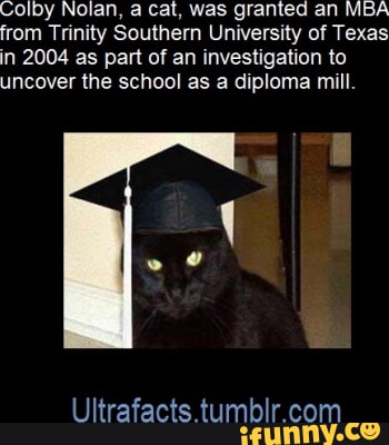 Trinity Seven memes memes. The best memes on iFunny