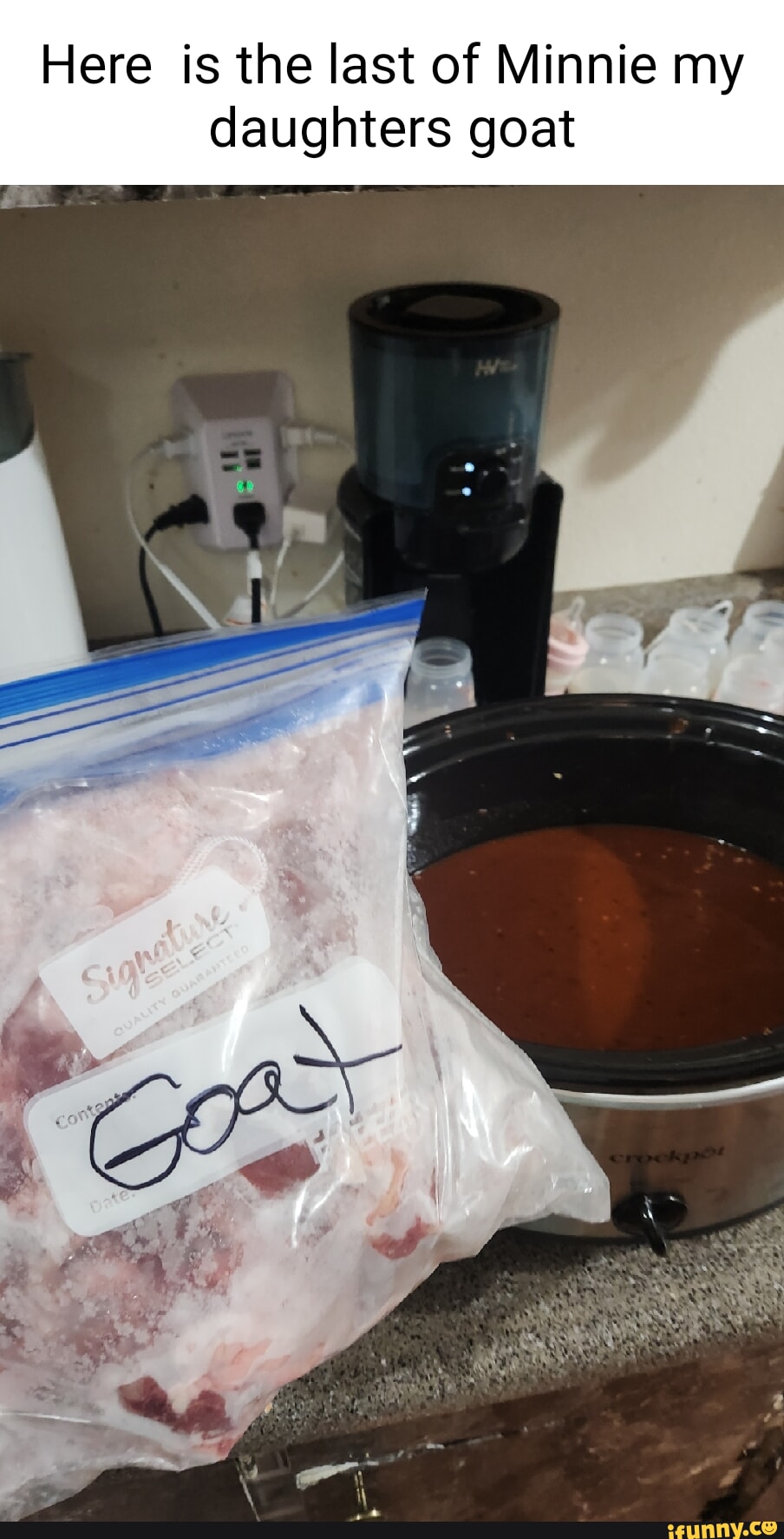 Birria memes. Best Collection of funny Birria pictures on iFunny