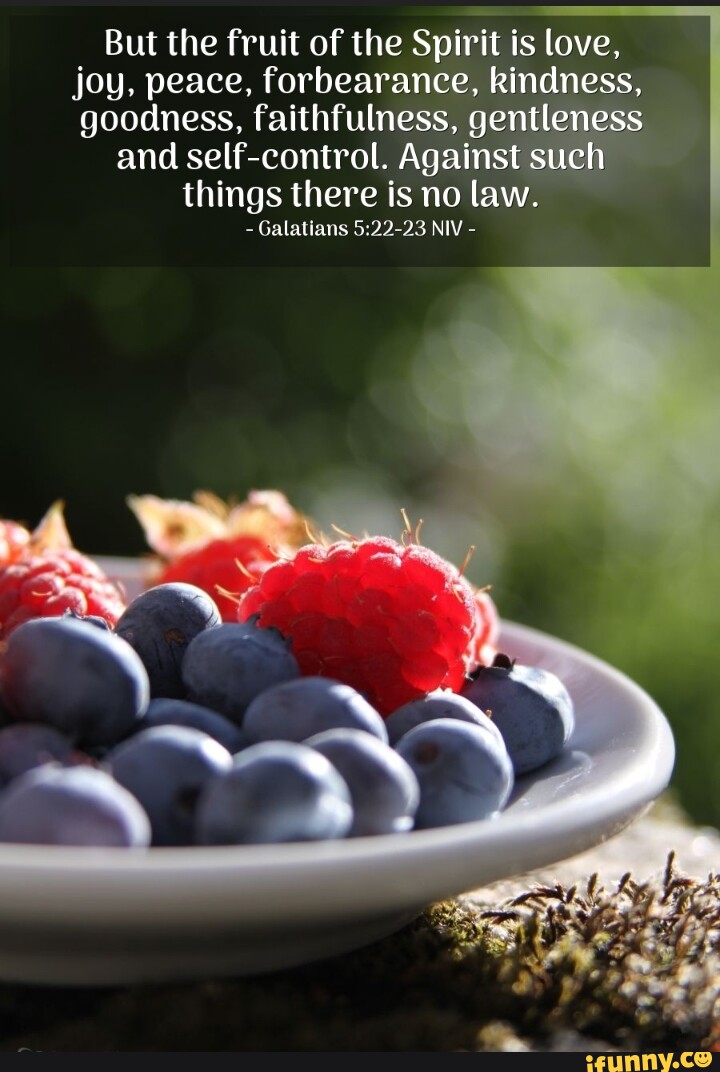 But the fruit of the Spirit is love, joy, peace, forbearance, kindness ...