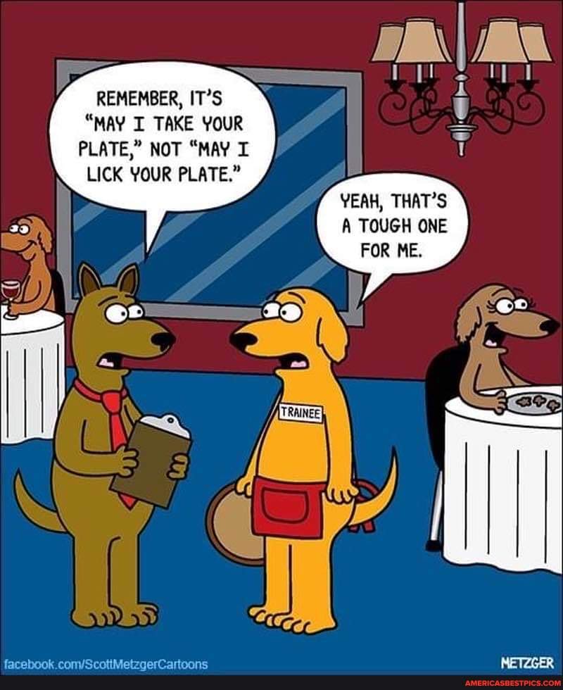 Patreon.com/ScottMetzgerCartoons - REMEMBER, IT'S "MAY I TAKE YOUR ...