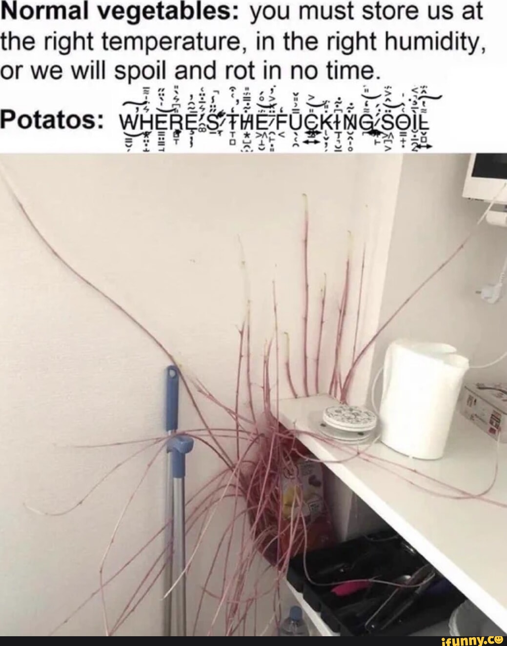 Humidity memes. Best Collection of funny Humidity pictures on iFunny