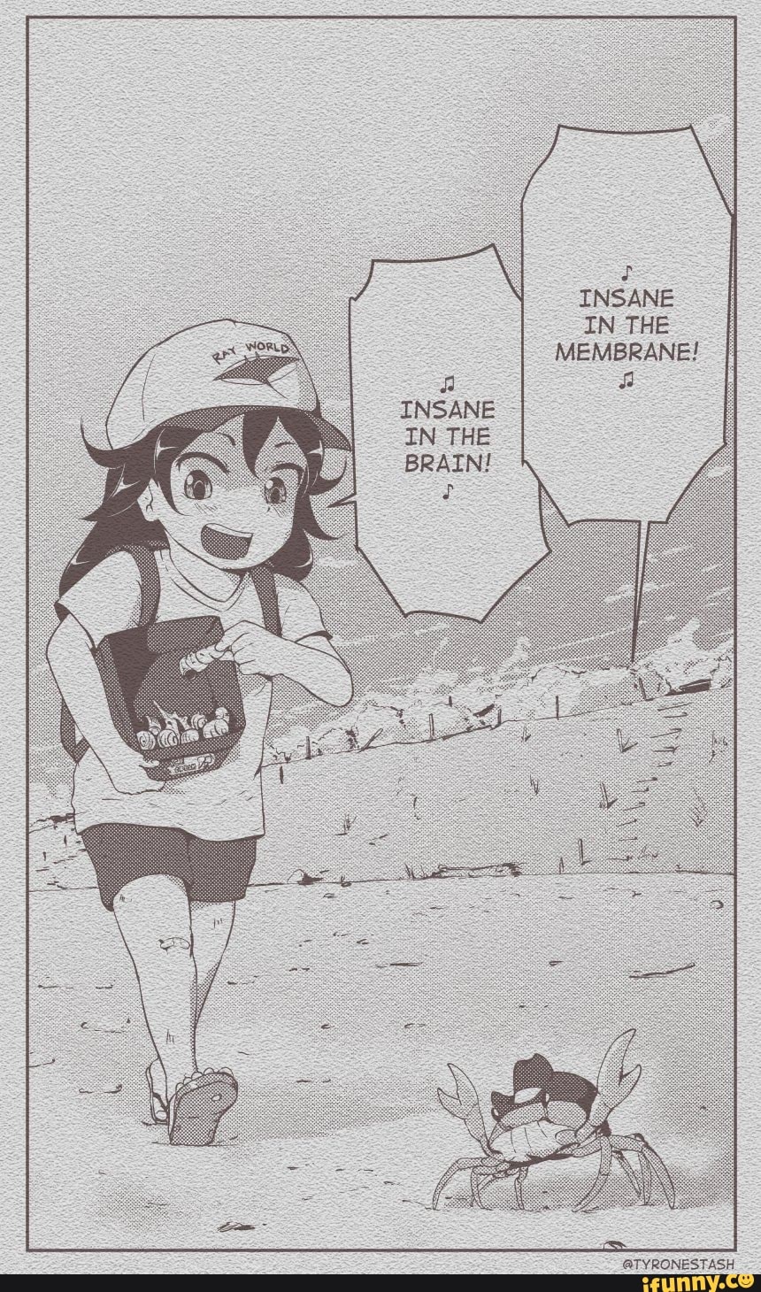 INSANE IN THE MEMBRANE! INSANE IN THE BRAIN! - iFunny