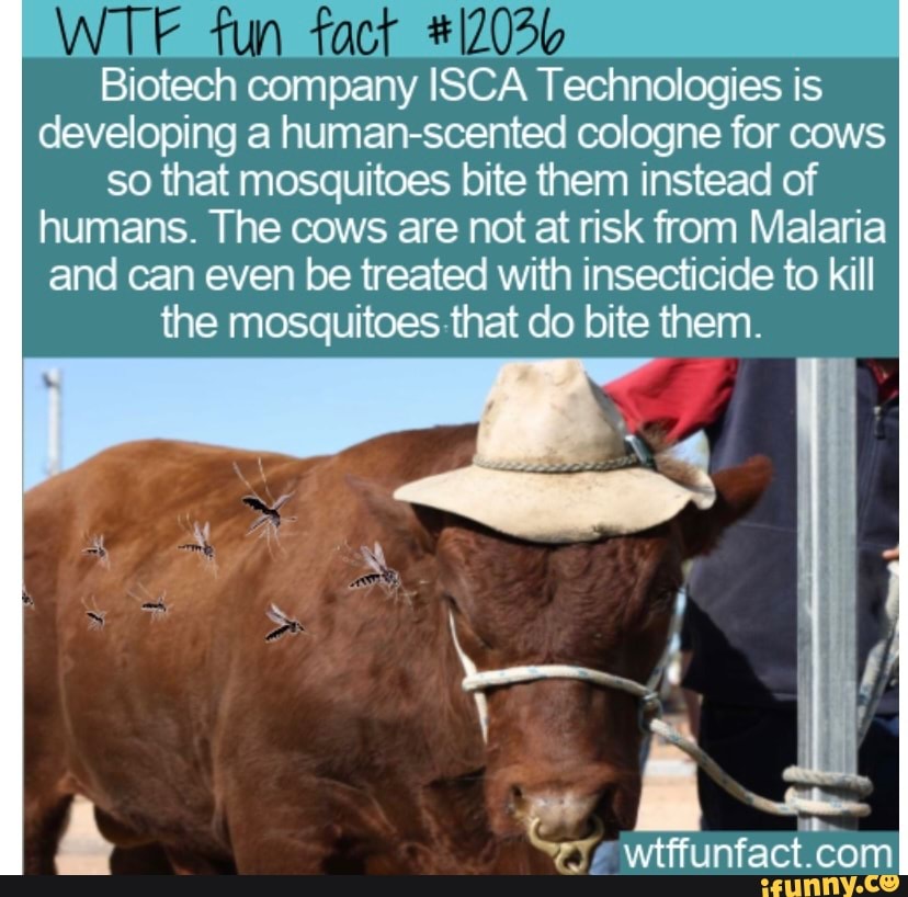 Biotech memes. Best Collection of funny Biotech pictures on iFunny