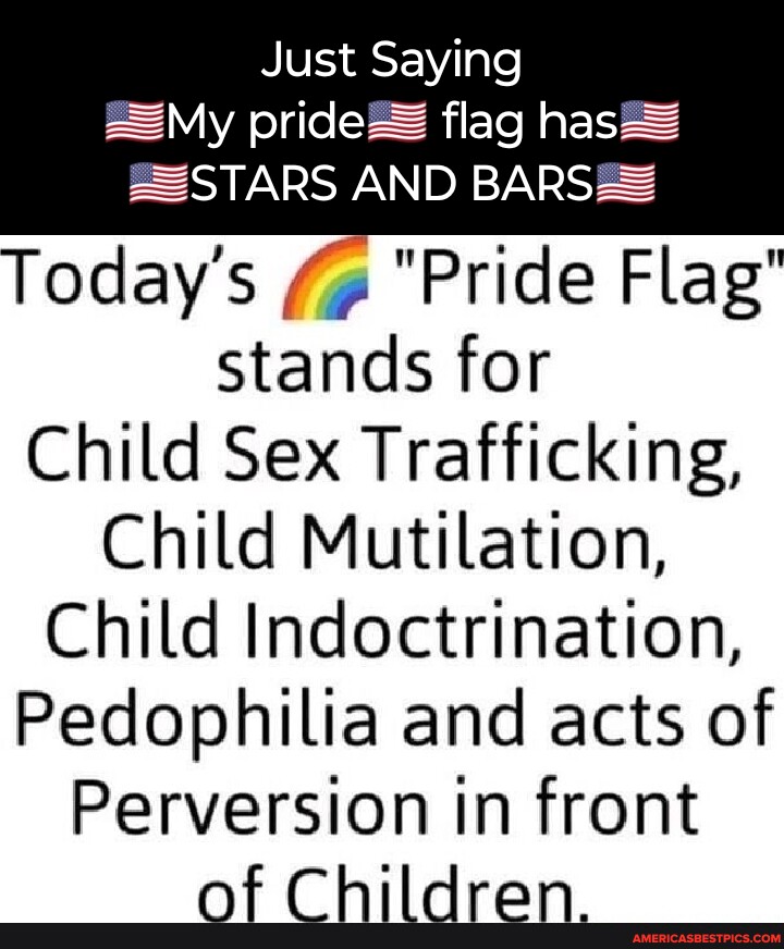 Just Saying ~My pride-= flag has= STARS AND BARS Today's "Pride Flag ...