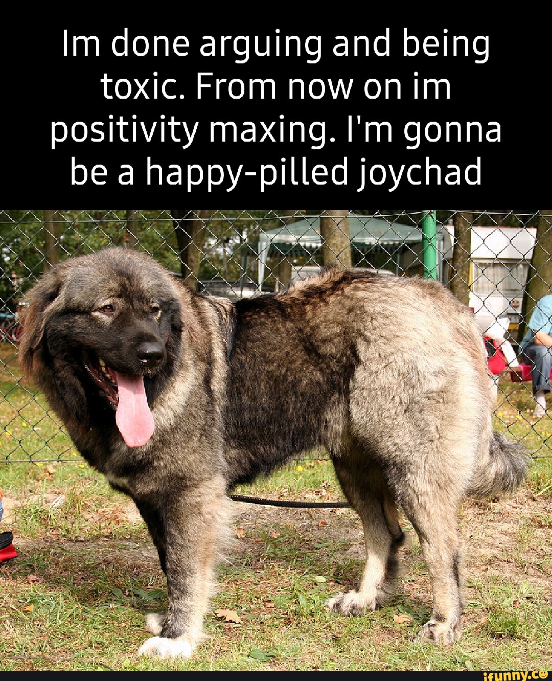 Im done arguing and being toxic. From now on im positivity maxing. I'm ...