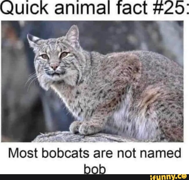 Tack memes. Best Collection of funny Tack pictures on iFunny