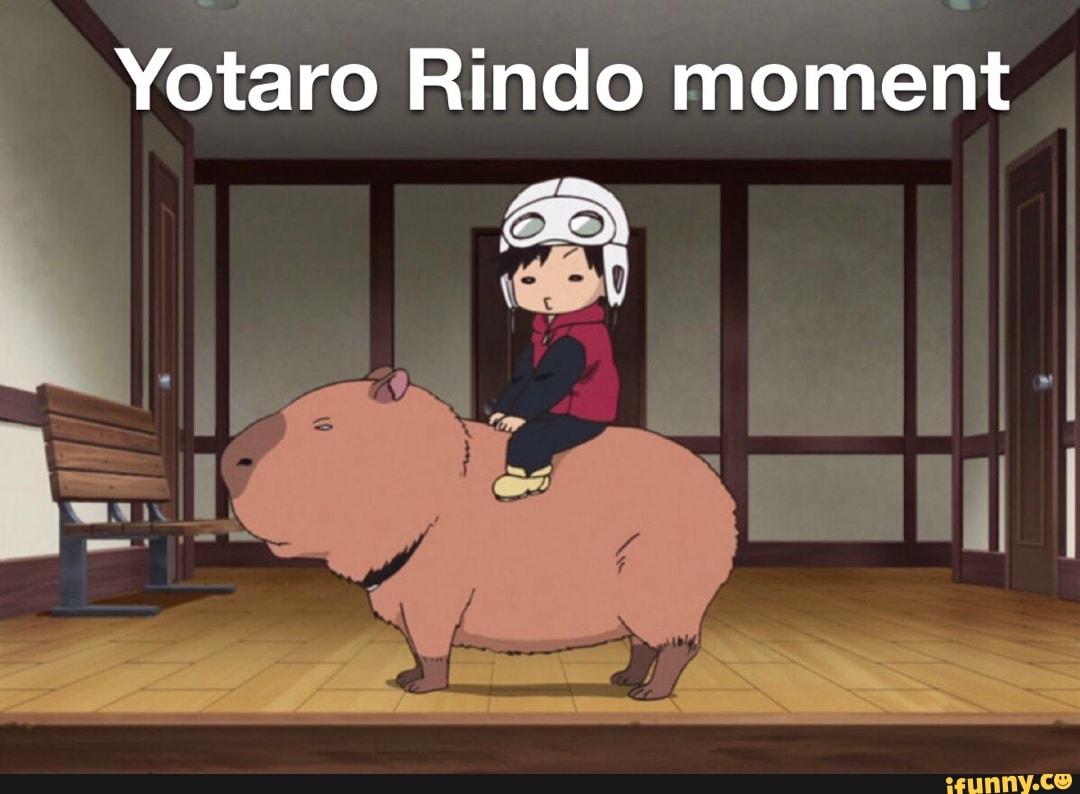 Rindo memes. Best Collection of funny Rindo pictures on iFunny