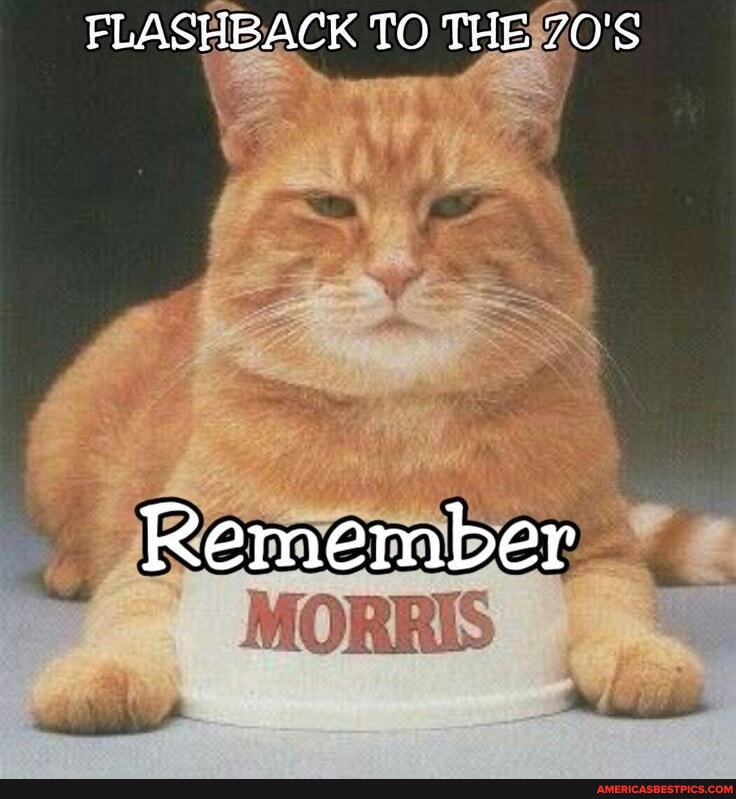 FLASHBACK TO THE 70'S Remember MORRIS - America’s best pics and videos