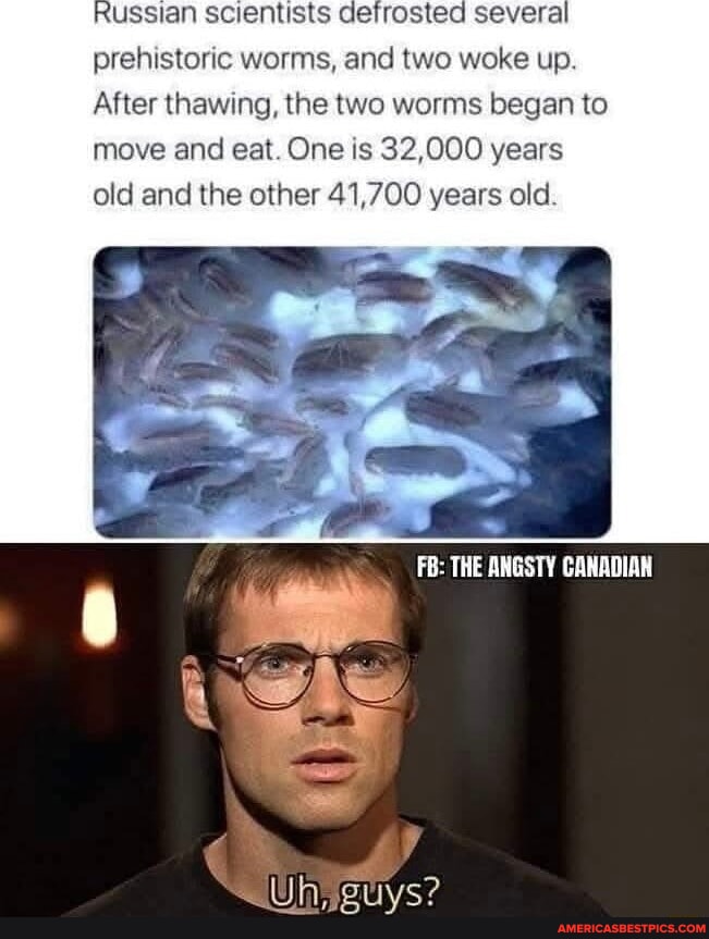 Russian scientists defrosted several prehistoric worms, and two woke up ...