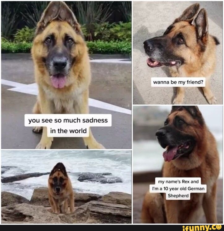 iFunny - the best memes, video, gifs and funny pics in one place