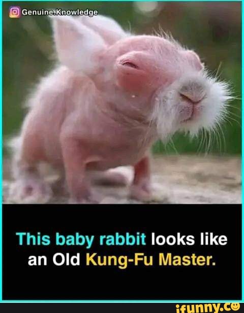 George Lucas after namedropping the Clone Wars in New Hope - iFunny