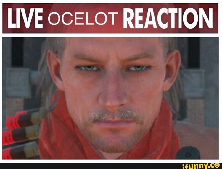 Ocelot memes. Best Collection of funny Ocelot pictures on iFunny