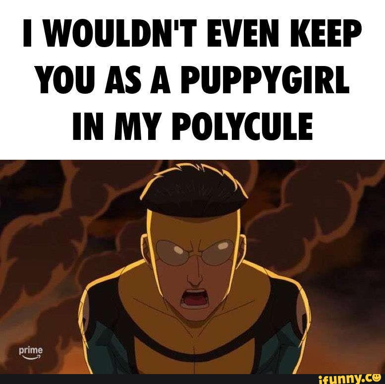 I WOULDN'T EVEN KEEP YOU AS A PUPPYGIRL IN MY POLYCULE prime - iFunny