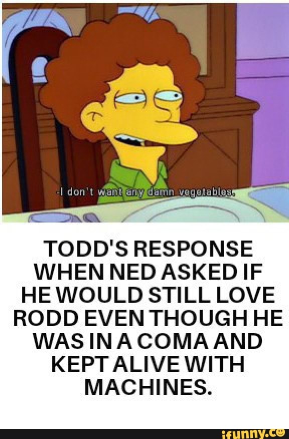 TODD'S RESPONSE WHEN NED ASKED IF HEWOULD STILL LOVE RODD EVEN THOUGH ...