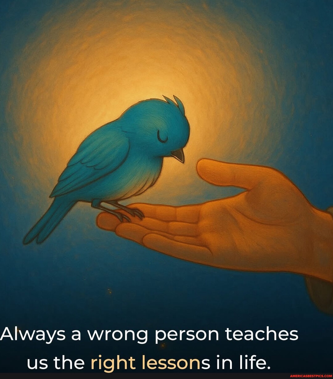 Always a wrong person teaches us the right lessons in life. - America’s ...