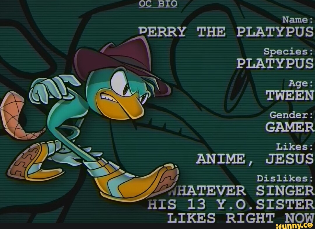 OC BIO Name: PERRY THE PLATYPUS Species: PLATYPUS Age: TWEEN Gender ...
