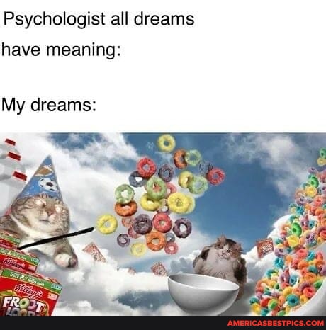 Catmemes catmemesdaily cat kitten instacat catmemesarethebest memecat ...