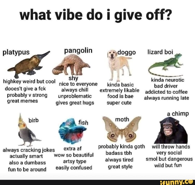 Neuroti memes. Best Collection of funny Neuroti pictures on iFunny