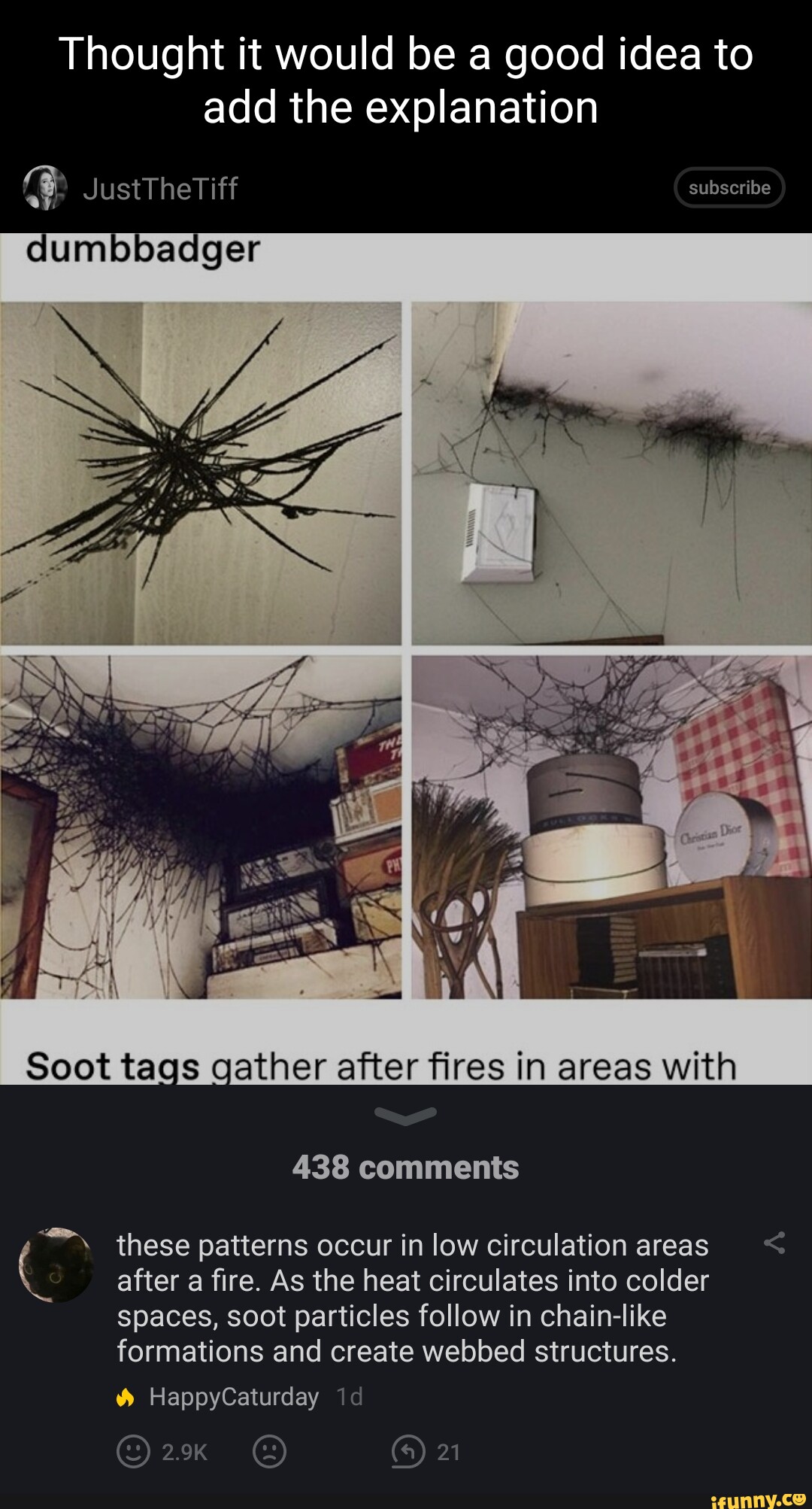 Dumbbadger memes. Best Collection of funny Dumbbadger pictures on iFunny