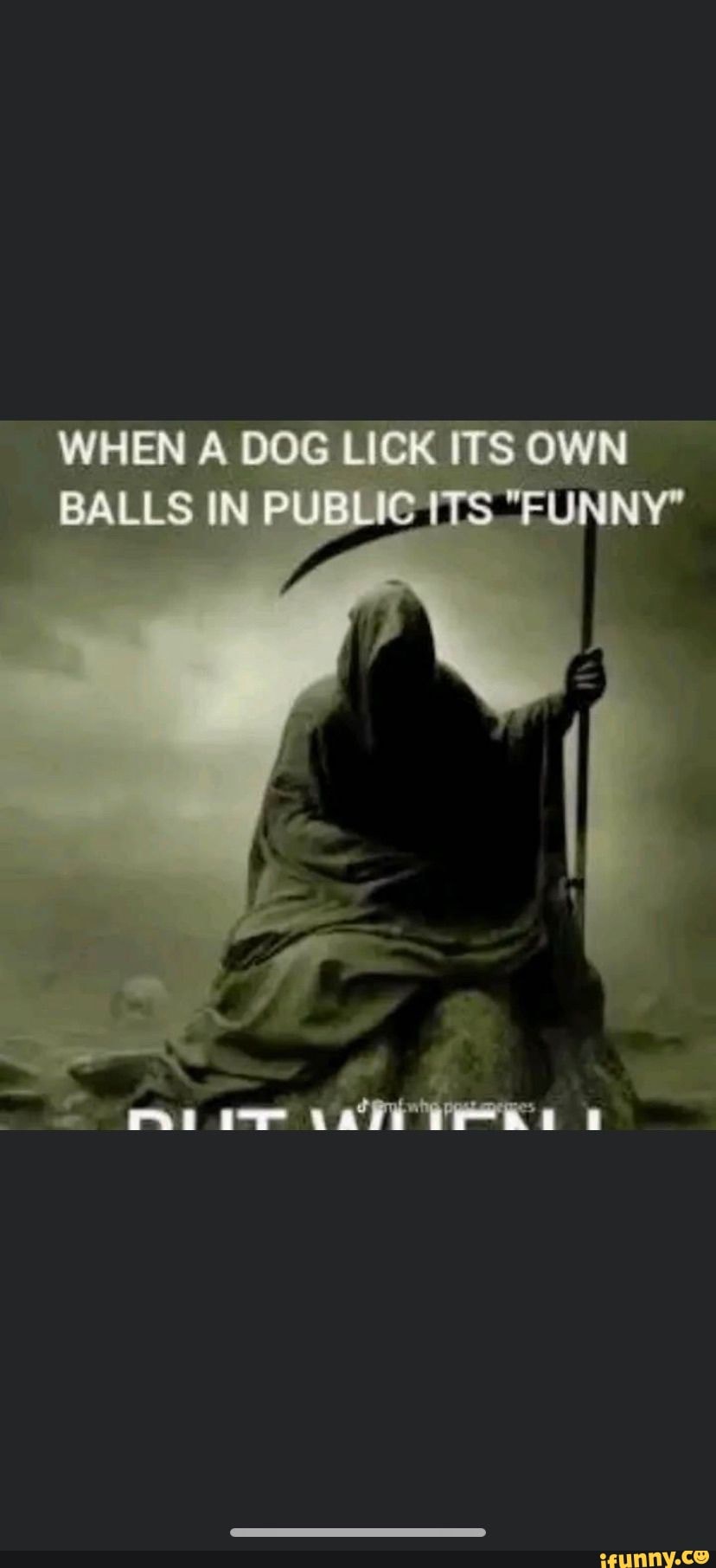 WHEN A DOG LICK ITS OWN BALLS IN PUBLIC ITS "FUNNY - iFunny