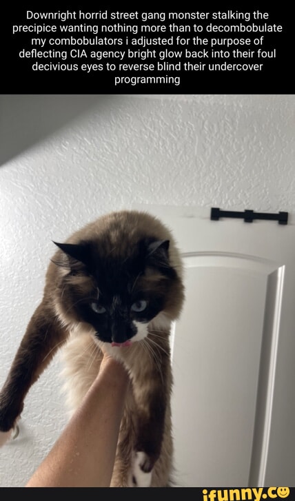 Deflecting memes. Best Collection of funny Deflecting pictures on iFunny