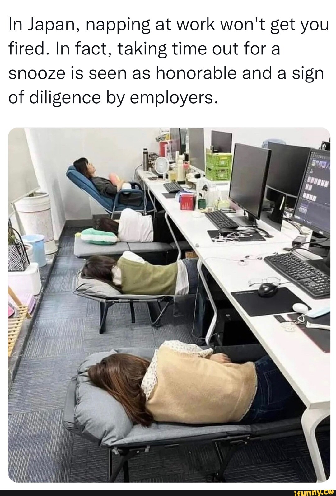 Diligence memes. Best Collection of funny Diligence pictures on iFunny