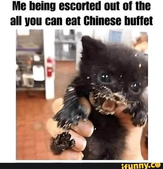 Buffet memes. Best Collection of funny Buffet pictures on iFunny