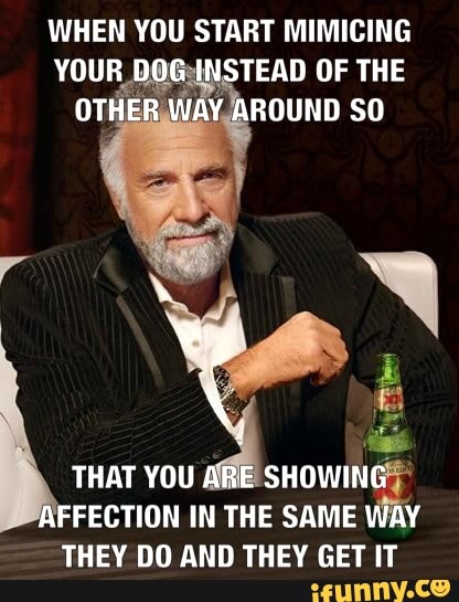 Mimicing memes. Best Collection of funny Mimicing pictures on iFunny