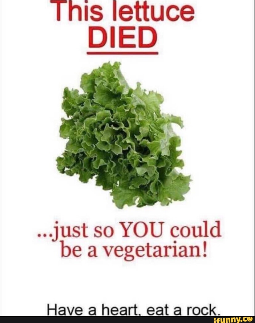 Lettuce memes. Best Collection of funny Lettuce pictures on iFunny
