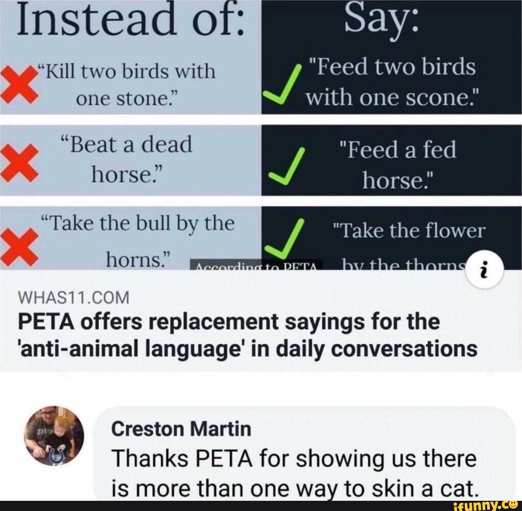 Scone memes. Best Collection of funny Scone pictures on iFunny