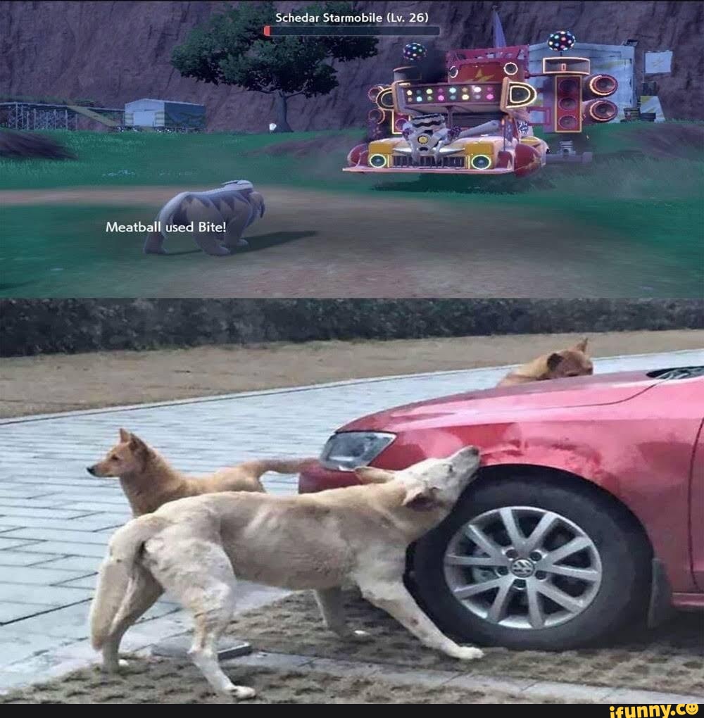 Mabosstiff memes. Best Collection of funny Mabosstiff pictures on iFunny