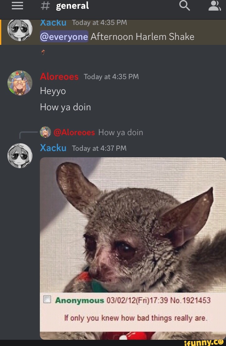 Heyyo memes. Best Collection of funny Heyyo pictures on iFunny