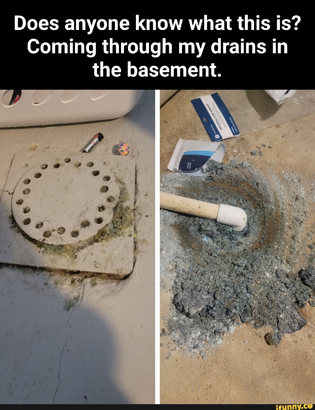 Drains memes. Best Collection of funny Drains pictures on iFunny