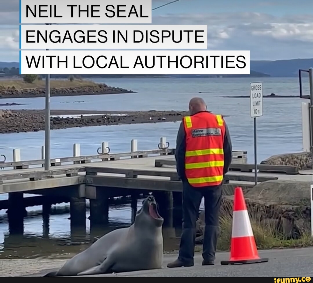 Ave rage Dicker Max enjoyer Average Jagdtiger user - iFunny