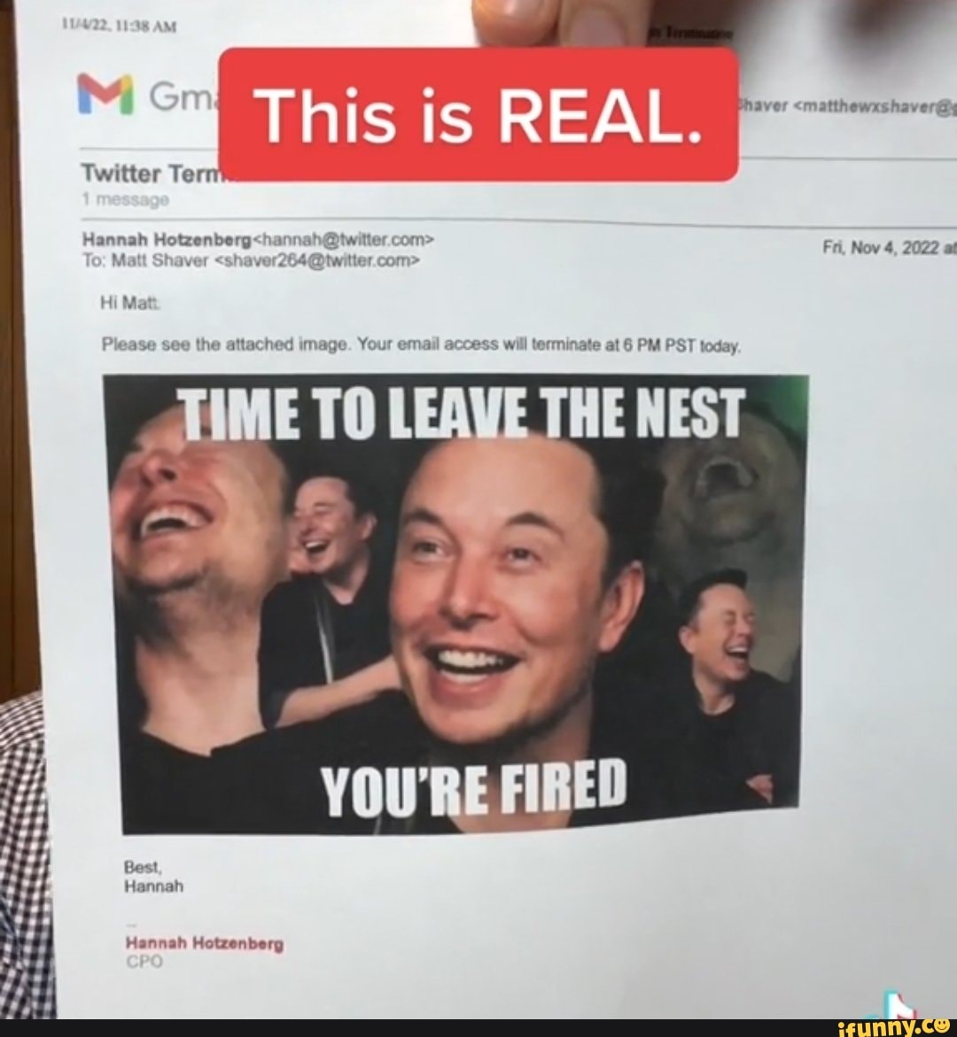 Aver This is REAL. Twitter Terr Hannah com> Fri, Nov 4, 2022 at Matt ...