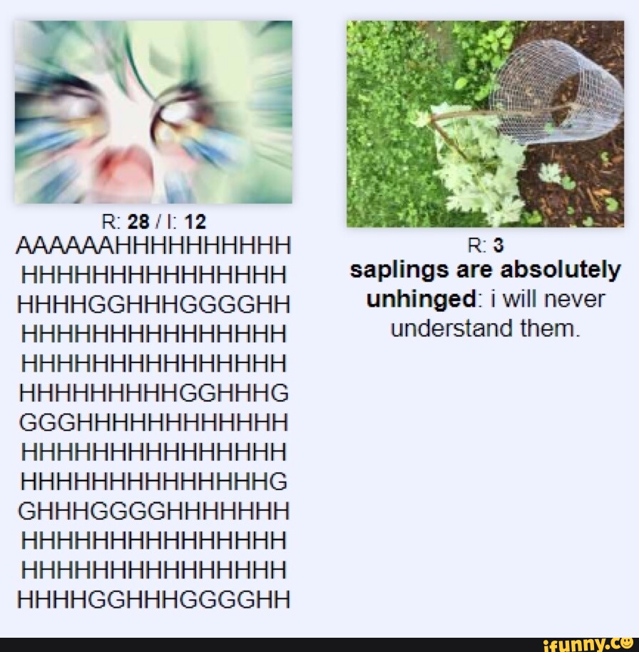 Ggghhhhhhhhhhhh memes. Best Collection of funny Ggghhhhhhhhhhhh ...