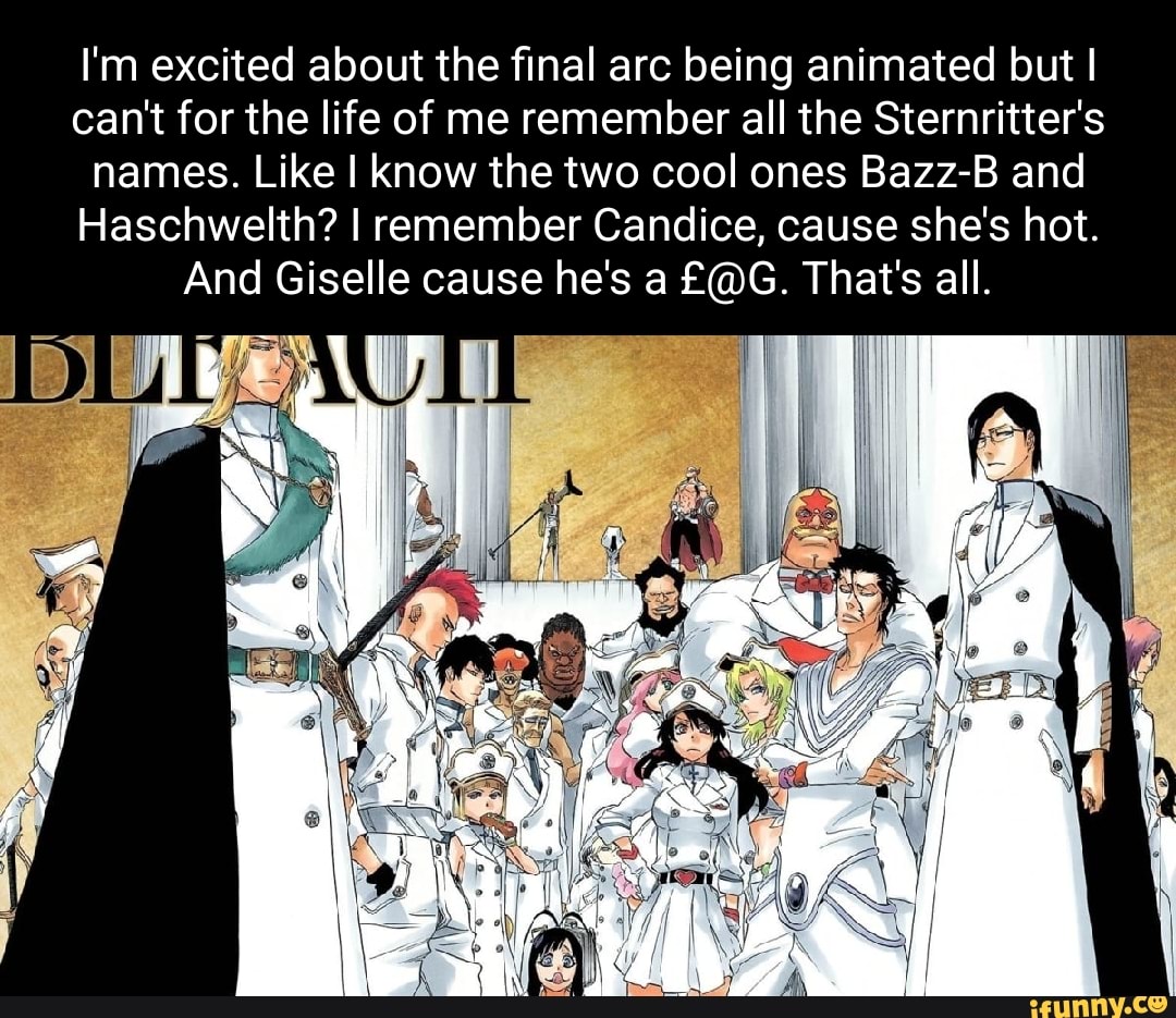 I'm excited about the final arc being animated but I can't for the life ...