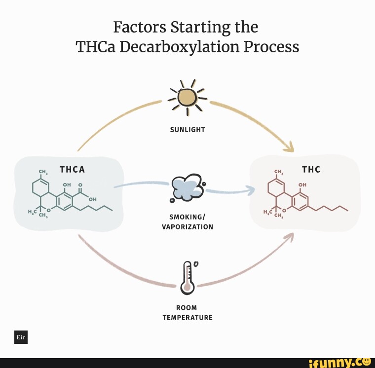 Factors Starting the THCa Decarboxylation Process We SUNLIGHT cu, THCA ...