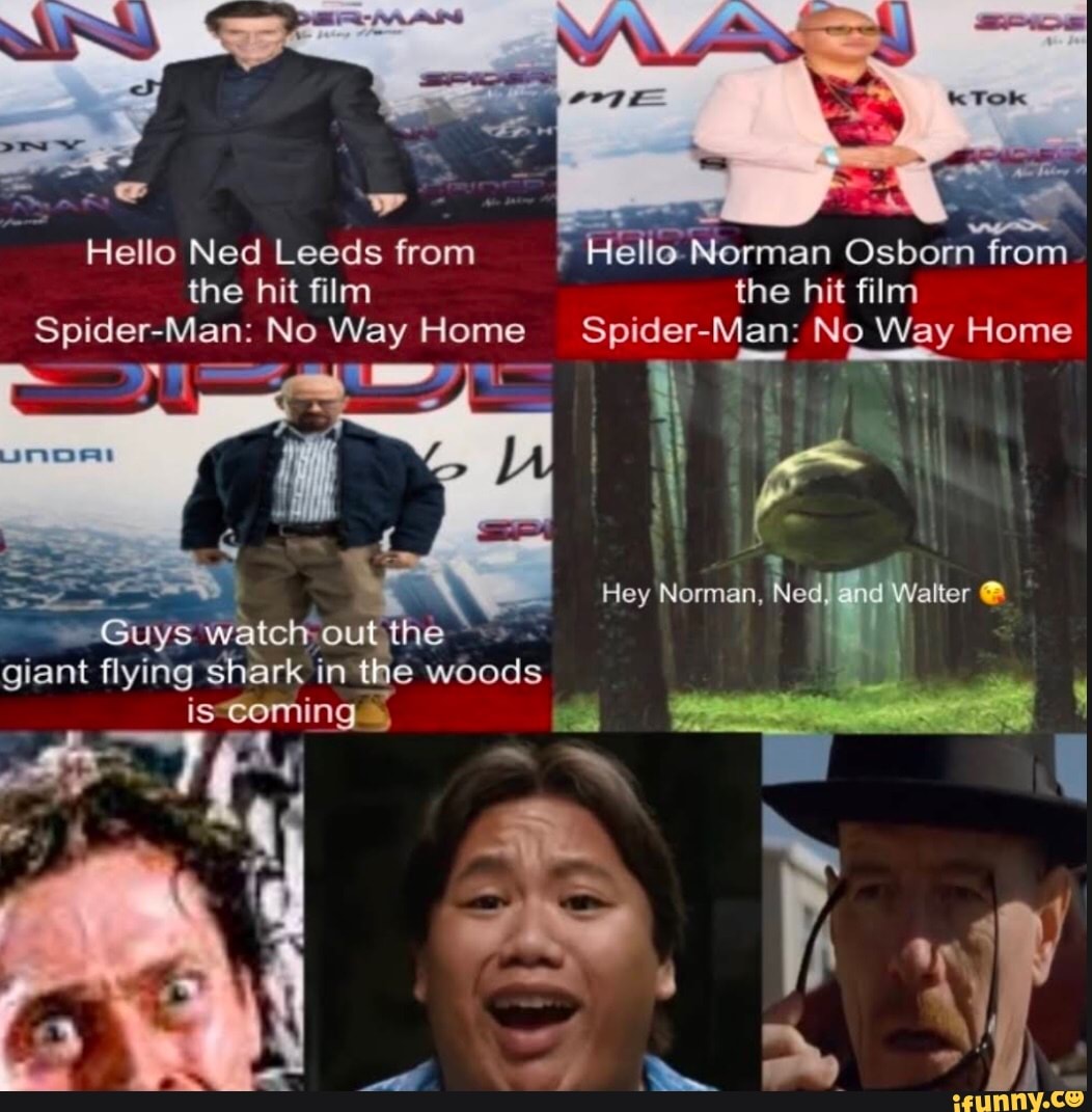 Hello Ned Leeds from Hello Norman Osborn from the hit film the hit film ...