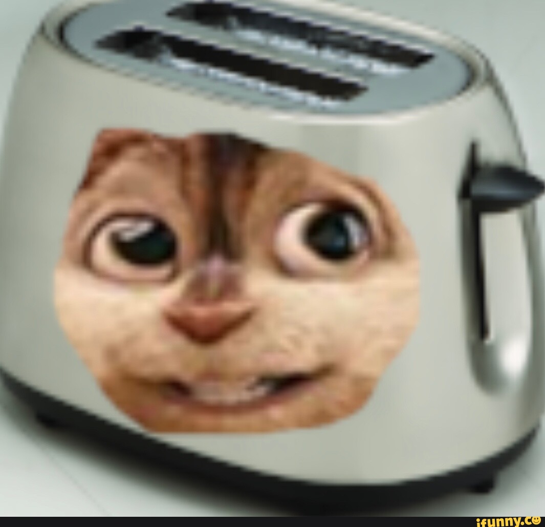 Alvintoaster memes. Best Collection of funny Alvintoaster pictures on ...