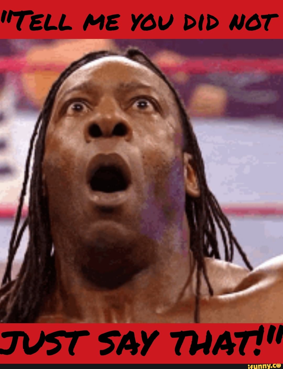 You Did Not Just Say That Meme