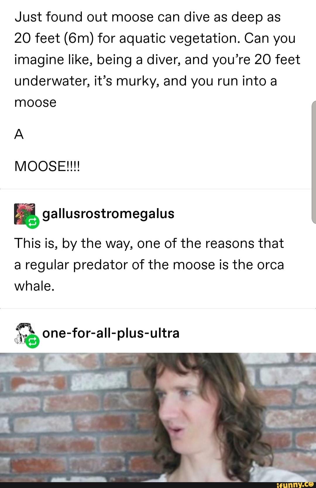 Just found out moose can dive as deep as 20 feet (6m) for aquatic ...