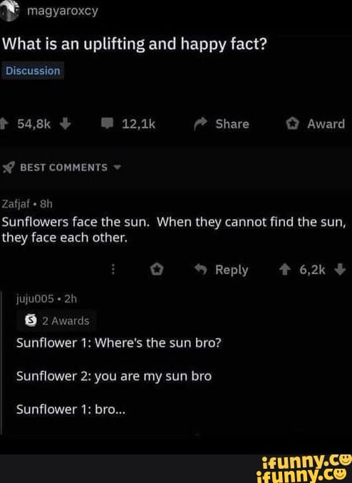 Sunflowers memes. Best Collection of funny Sunflowers pictures on iFunny