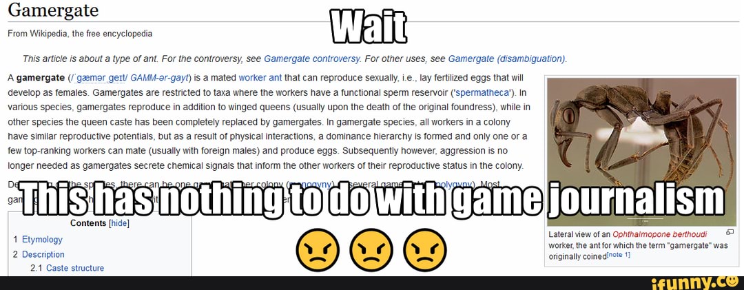 Gamm memes. Best Collection of funny Gamm pictures on iFunny