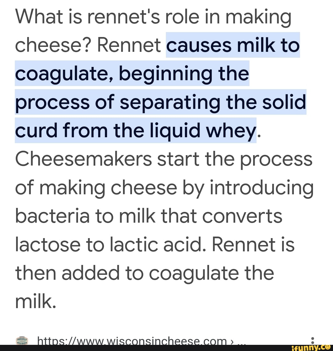 Curd memes. Best Collection of funny Curd pictures on iFunny