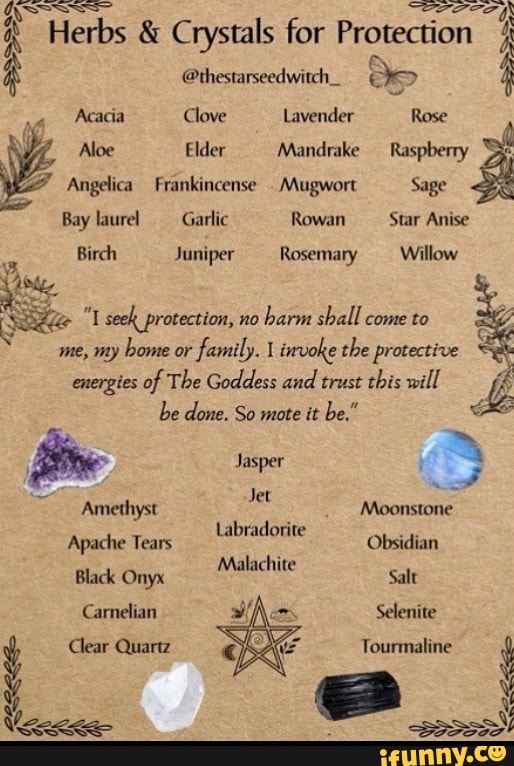 Mandrake memes. Best Collection of funny Mandrake pictures on iFunny