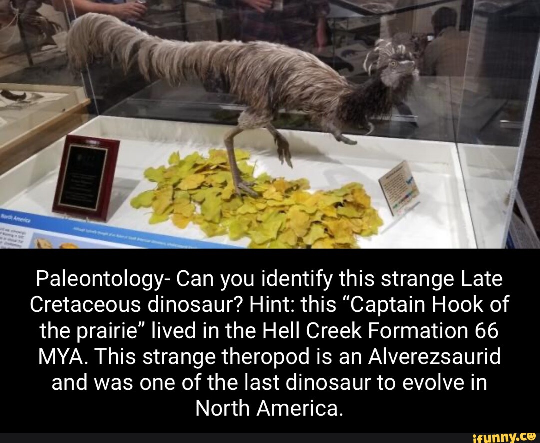 Formation memes. Best Collection of funny Formation pictures on iFunny